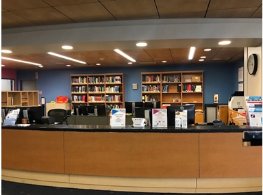 Icahn School of Medicine at Mount Sinai Library in COVID-19 Times: Part ...